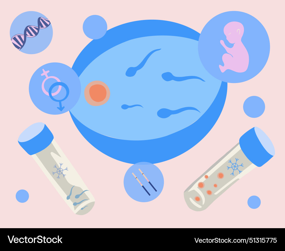 Artificial insemination in vitro fertilization Vector Image