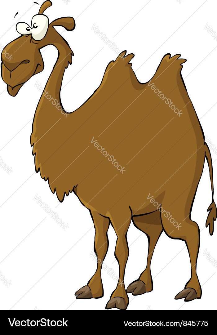 Camel Royalty Free Vector Image - VectorStock