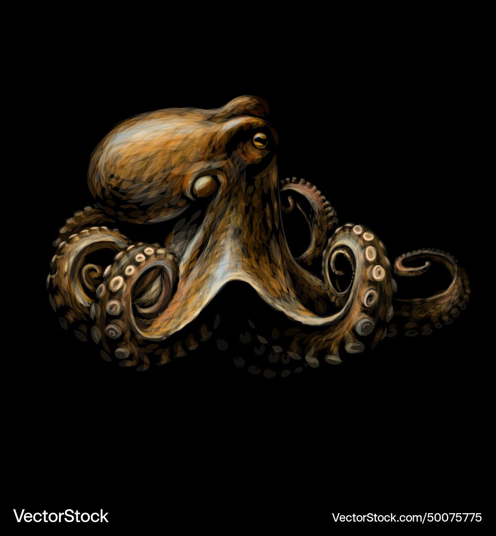 Octopus a color graphic portrait Royalty Free Vector Image