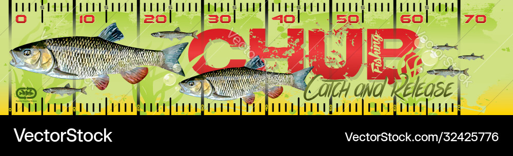 Fishing Ruler - 0 to 70cm Measurement Tool Vector Image