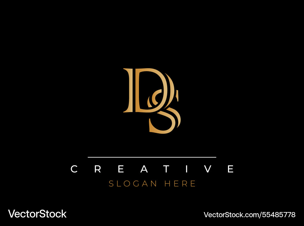 Creative ds luxury logo Royalty Free Vector Image