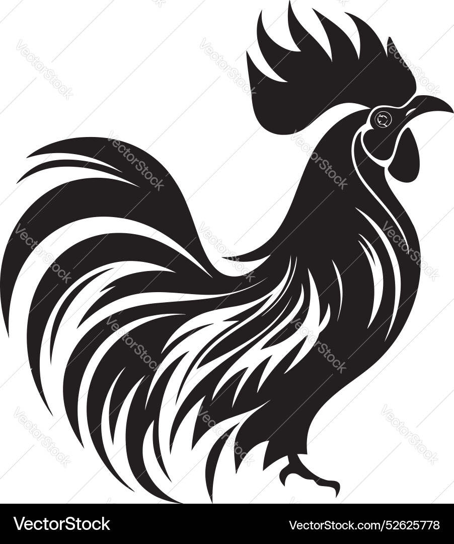 Poultry pack iconic roster chicken graphics plume Vector Image