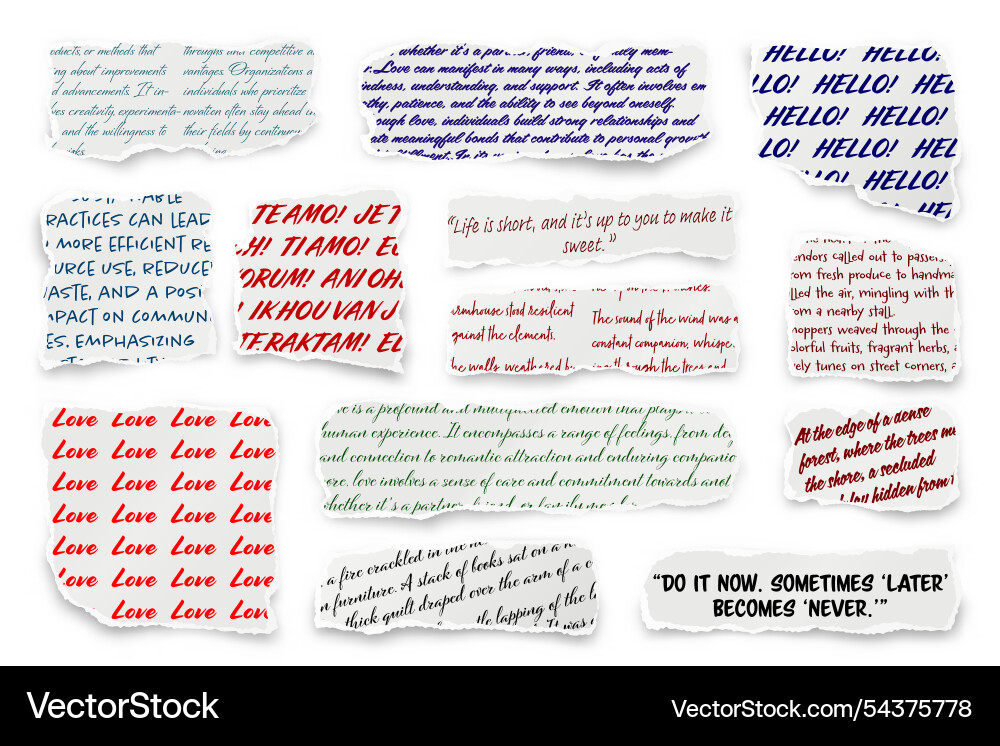 Ripped paper strips with handwritten text Vector Image