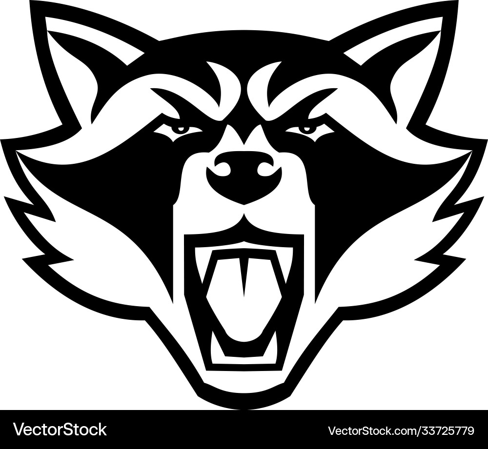 Angry Raccoon Mascot Head Royalty Free Vector Image