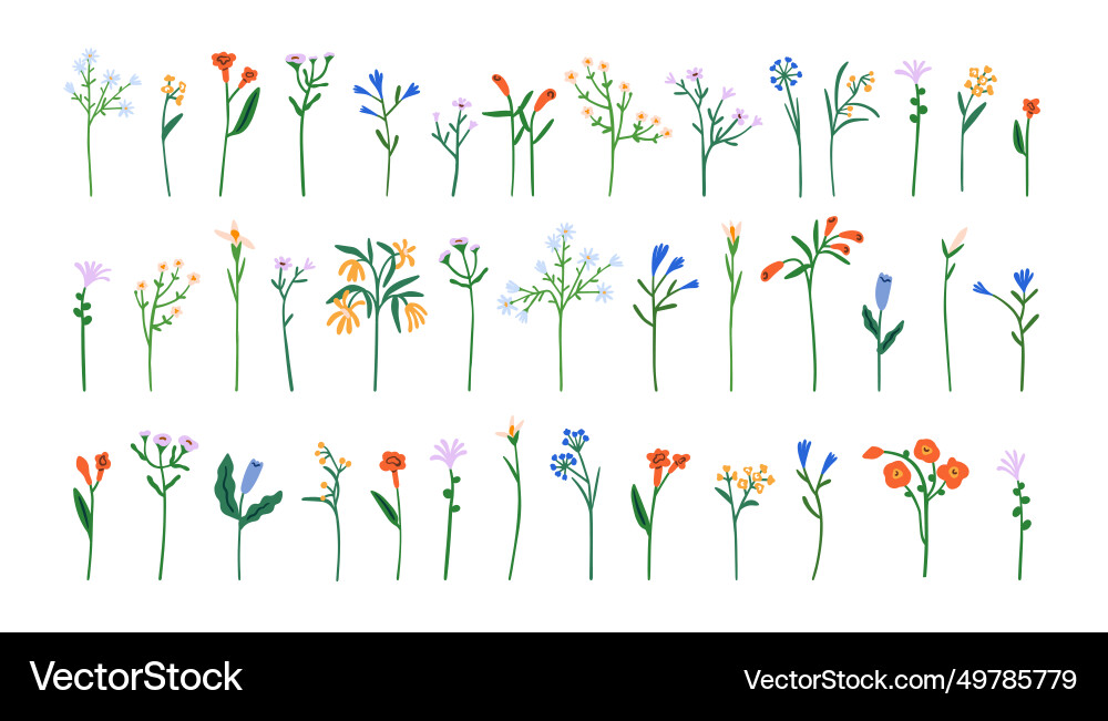 Fragile flowers set floral stem spring Royalty Free Vector