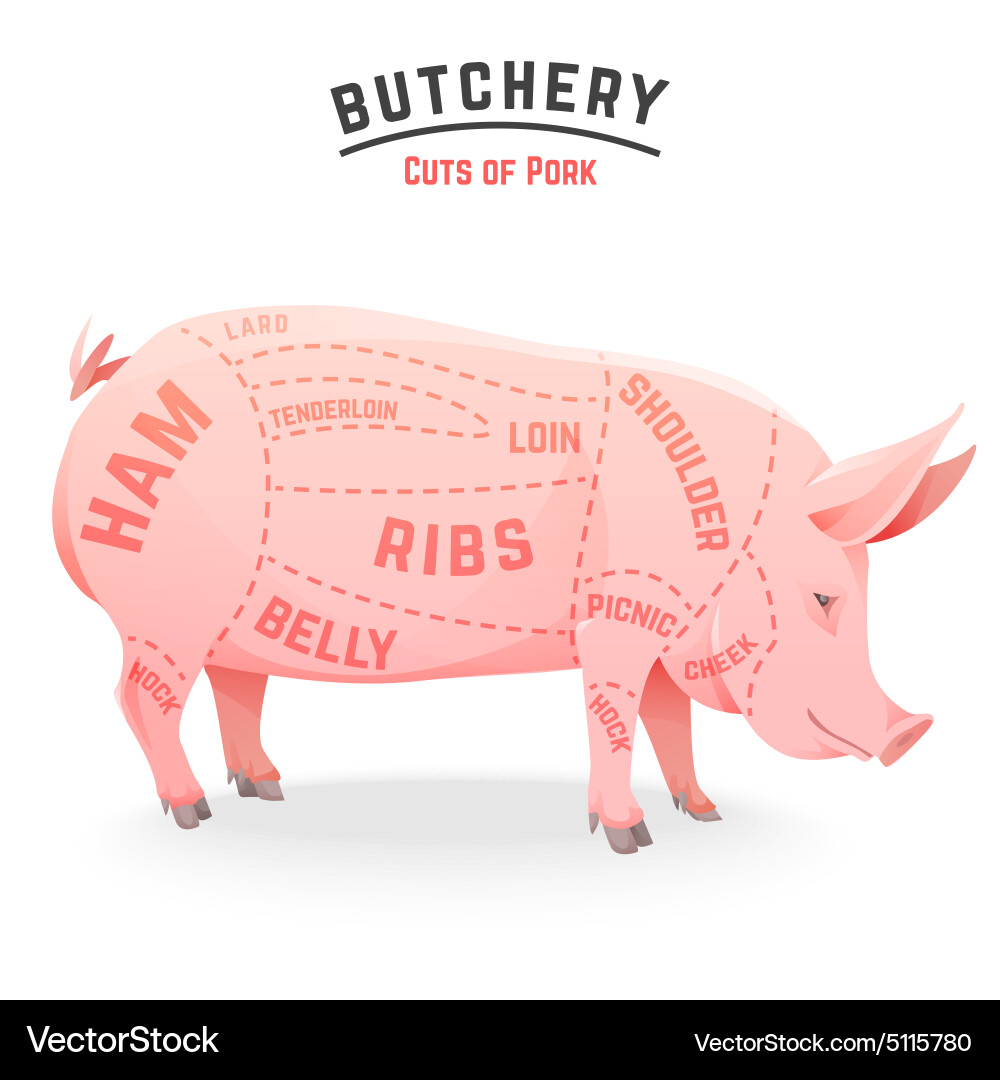 Cuts of pork Royalty Free Vector Image - VectorStock