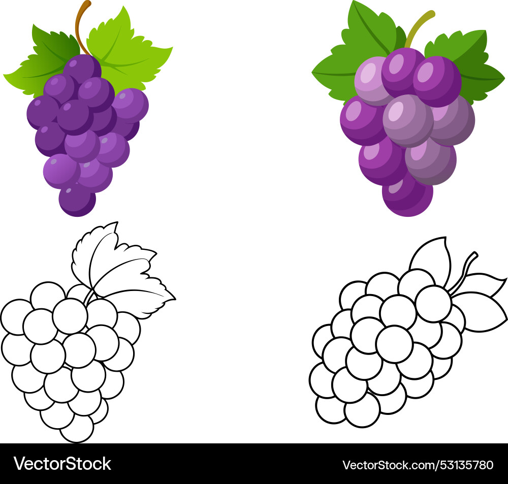 Grape Royalty Free Vector Image - VectorStock