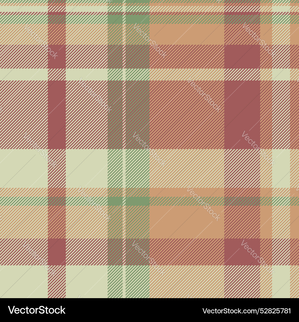 Fancy pattern background texture artistic fabric Vector Image