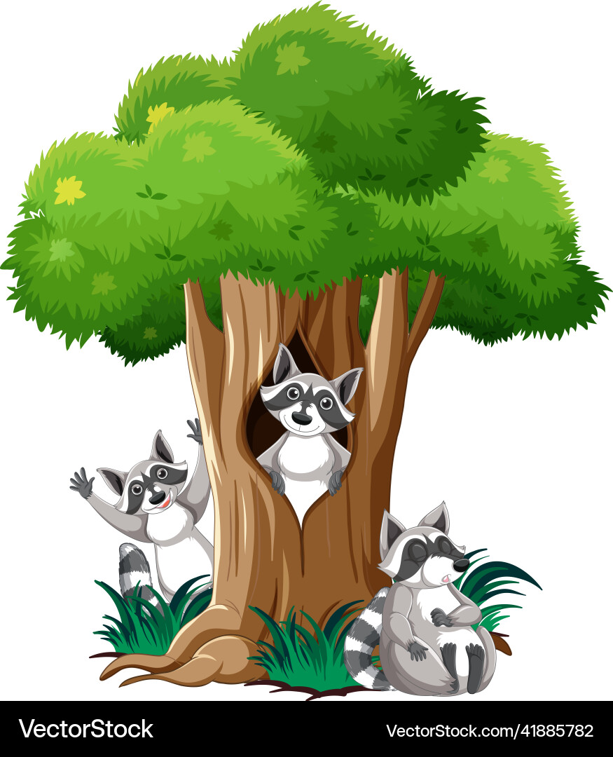 Three raccoons by the tree Royalty Free Vector Image