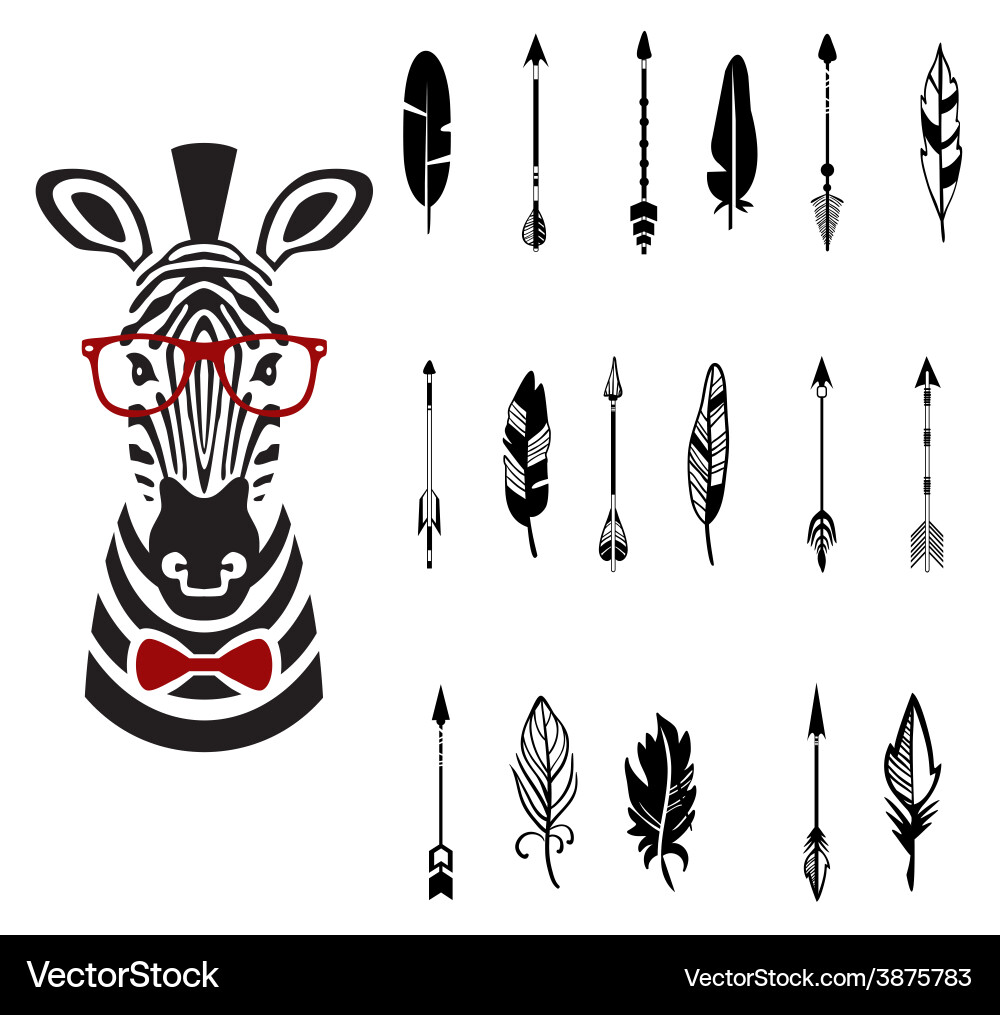 Set of arrows Royalty Free Vector Image - VectorStock
