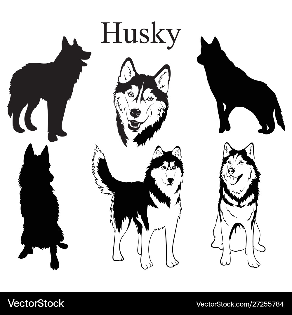 Husky Dog Collection - Black & White Vector Image