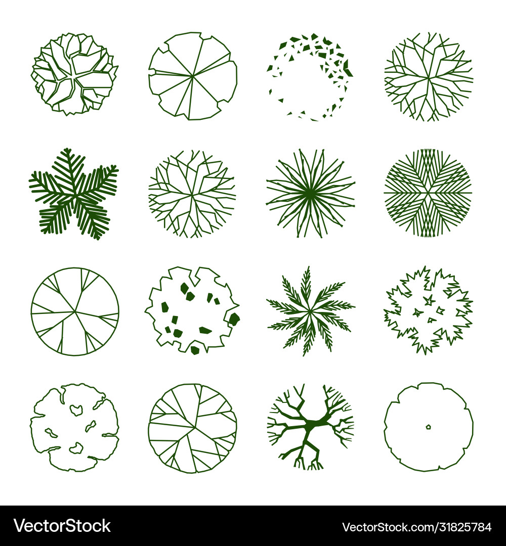 Architectural Tree Vector Images (over 60,000)