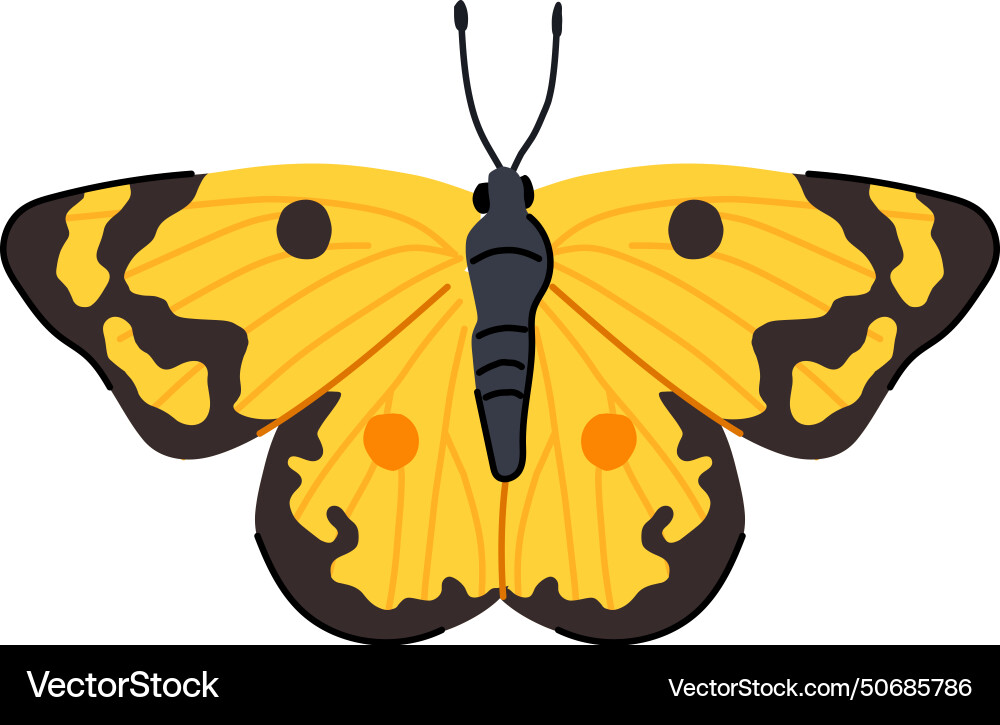 Blue butterfly cartoon Royalty Free Vector Image