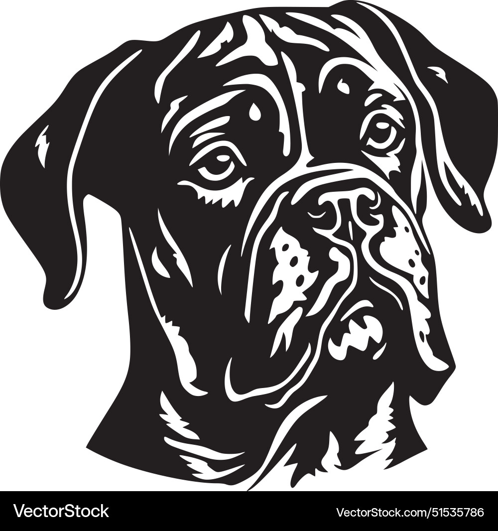Boxer - black and white Royalty Free Vector Image