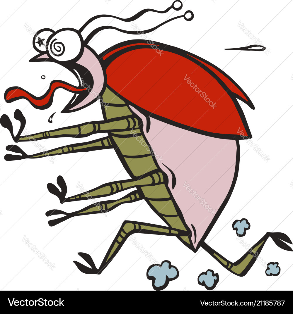 Beetle Run Vector Images (98)