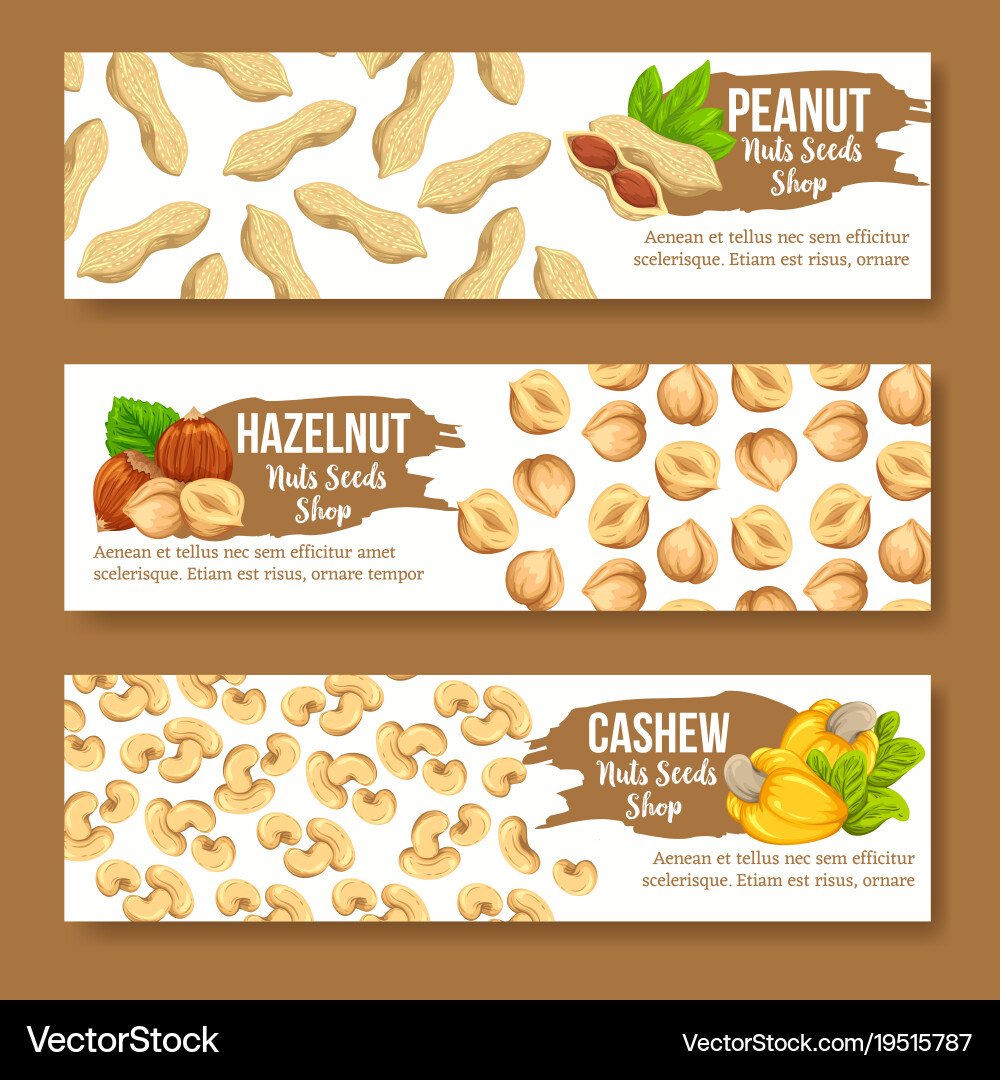 Set of colourful horizontal banners with nuts Vector Image