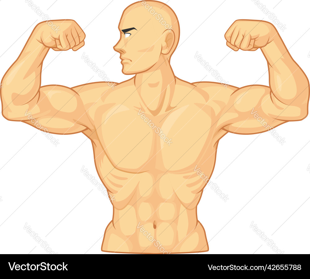Muscular Arm Flexing Bicep Vector Illustration Download Biceps Vector