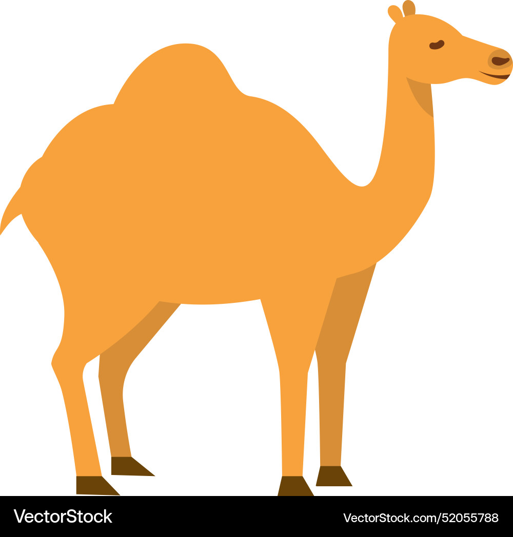 Cute cartoon camel desert animal Royalty Free Vector Image