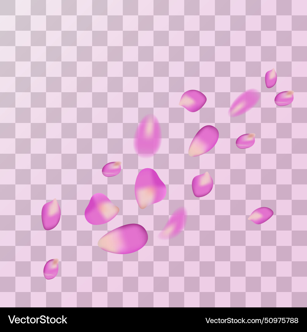 Realistic purple rose petals with mockup frame Vector Image