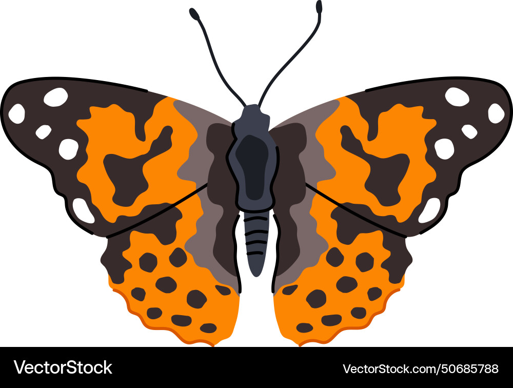 Spring butterfly cartoon Royalty Free Vector Image