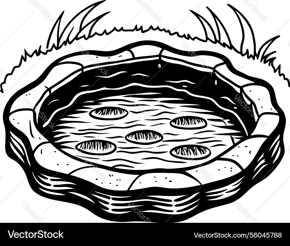 Stone pond with ripples and grass border calming Vector Image