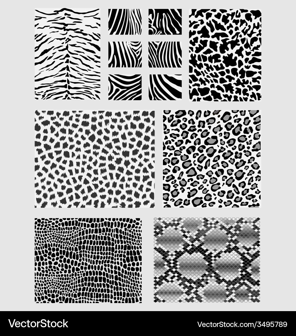 Animal skins Royalty Free Vector Image - VectorStock
