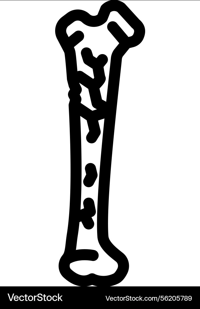 Bone crack fracture injury line icon Royalty Free Vector