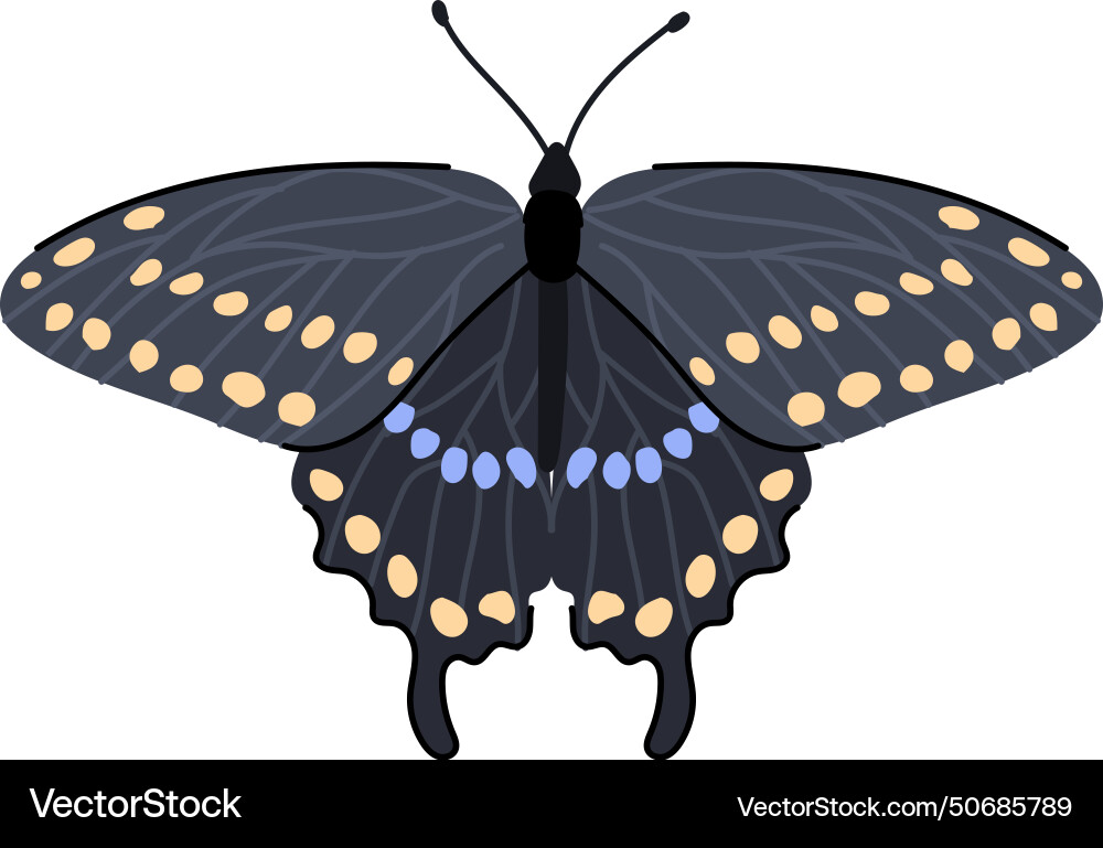 Watercolor butterfly cartoon Royalty Free Vector Image