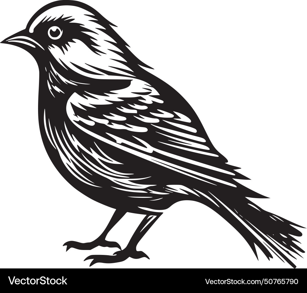 Sparrow - minimalist and simple silhouette Vector Image