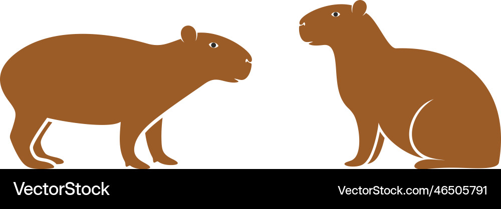 Capybara Royalty Free Vector Image - VectorStock