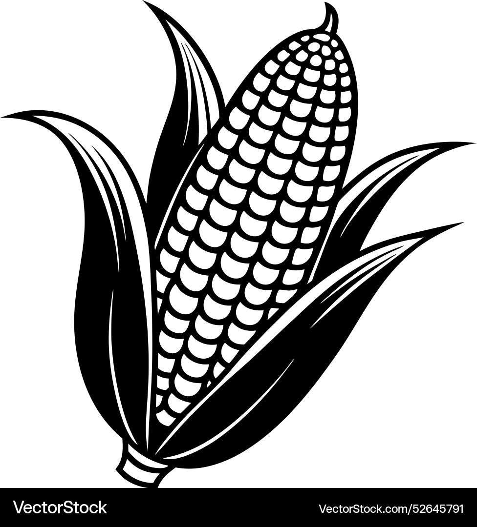 Corn silhouette 2 Royalty Free Vector Image - VectorStock