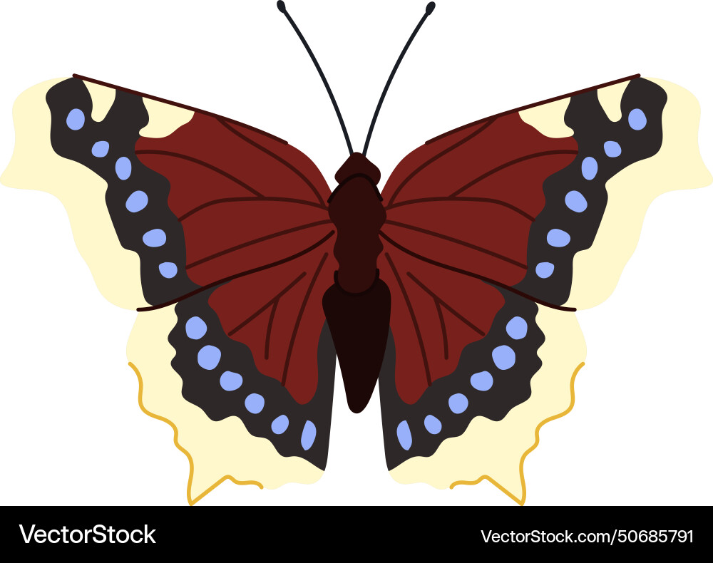 Flower butterfly cartoon Royalty Free Vector Image