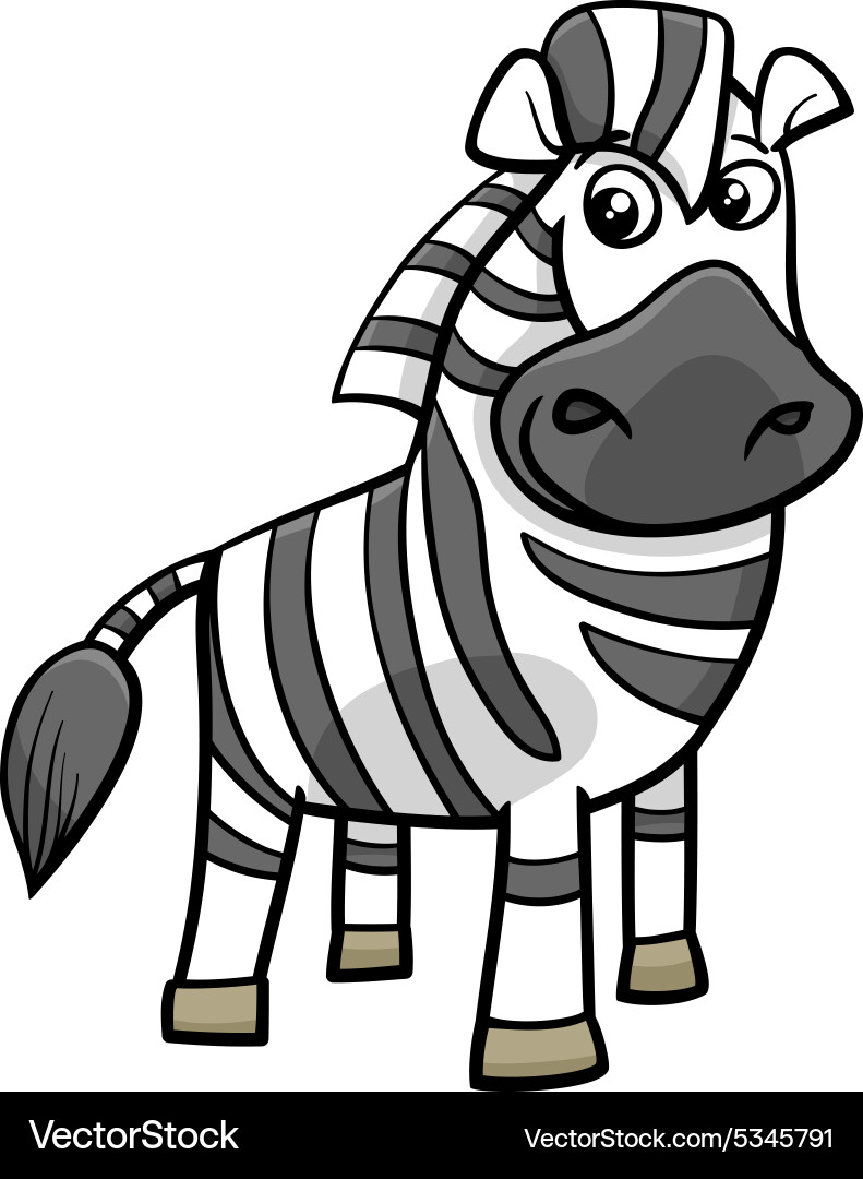 Zebra cartoon Royalty Free Vector Image - VectorStock