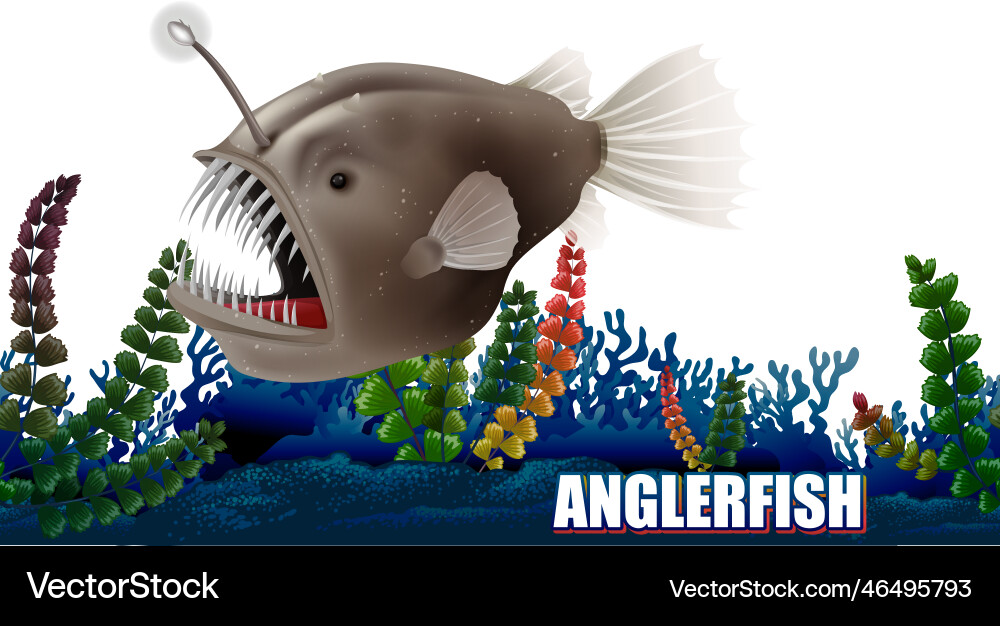 Anglerfish deep sea creature Royalty Free Vector Image