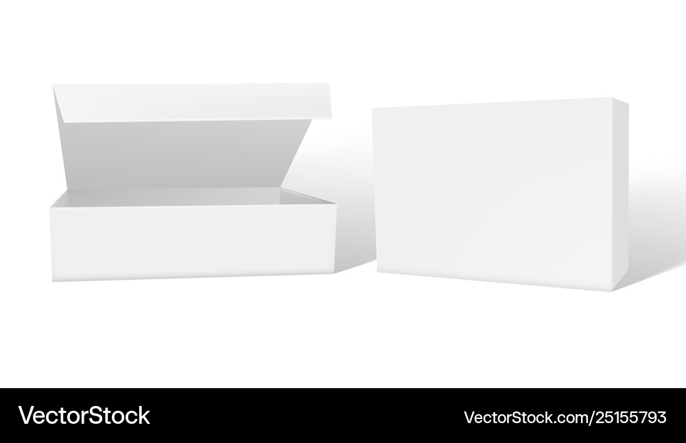 Realistic open and closed blank big packaging Vector Image