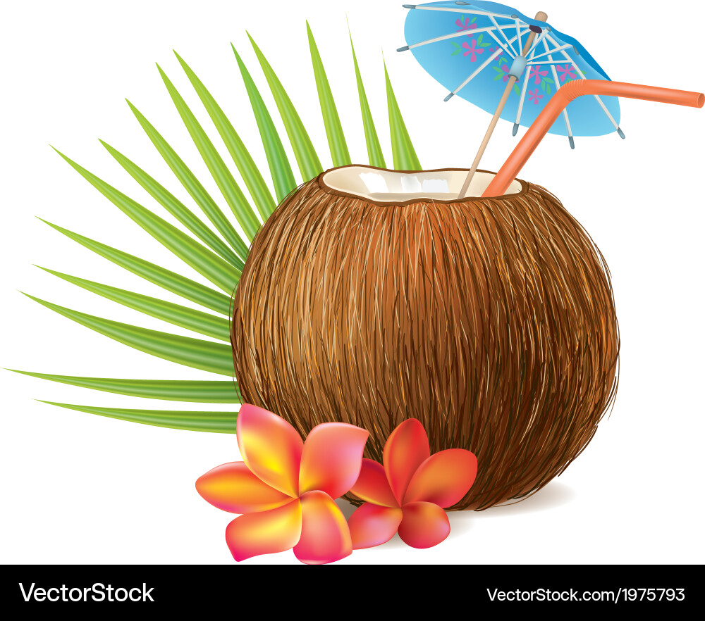 Tropical Coconut Drink Clip Art