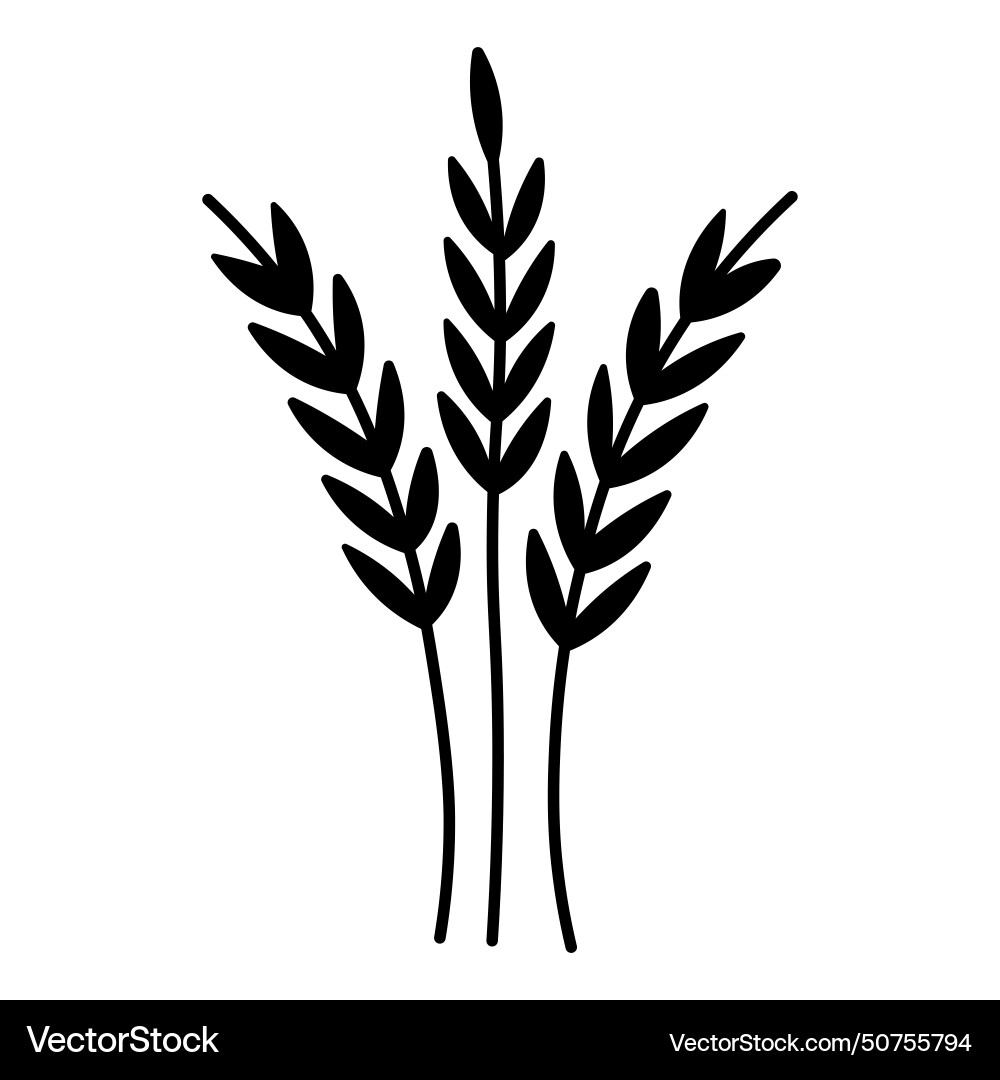 Black wheat icon on white background Royalty Free Vector