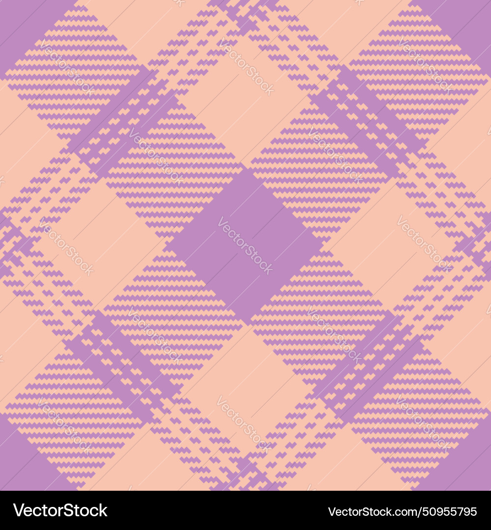 Fabric textile check of texture background Vector Image