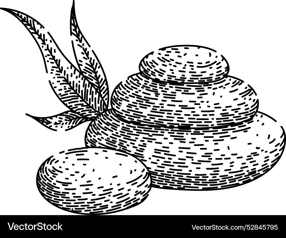 Treatment spa sketch hand drawn Royalty Free Vector Image