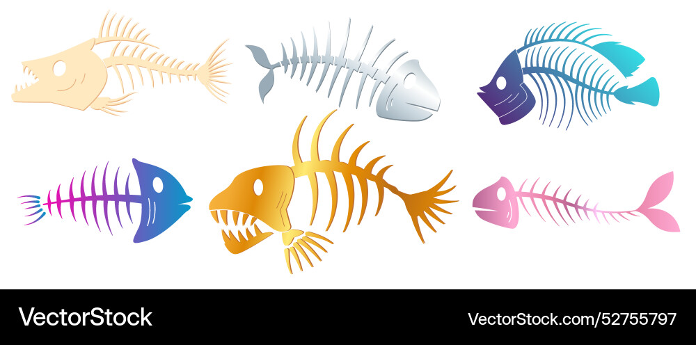 Fish bone set collection dead river and sea Vector Image