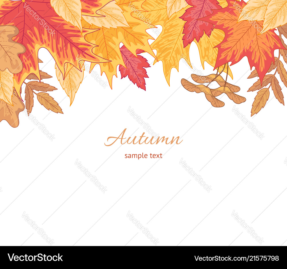 Autumn Leaf Background Royalty Free Vector Image