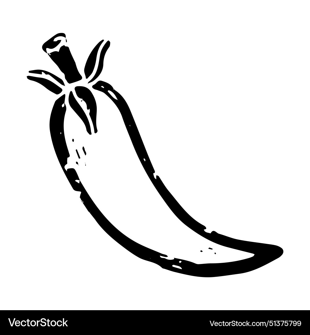 Chili pepper line art doodle texture outline hand Vector Image