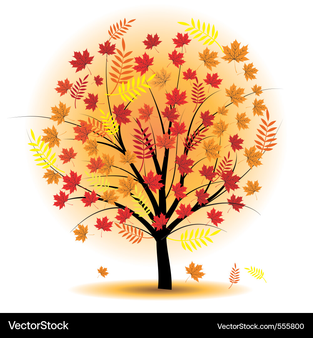 Beautiful autumn tree Royalty Free Vector Image