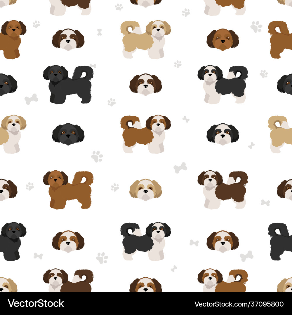 Shih tzu poses coat colors seamless pattern Vector Image