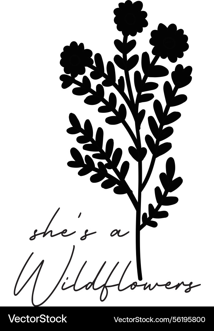 Wildflower floral Royalty Free Vector Image - VectorStock