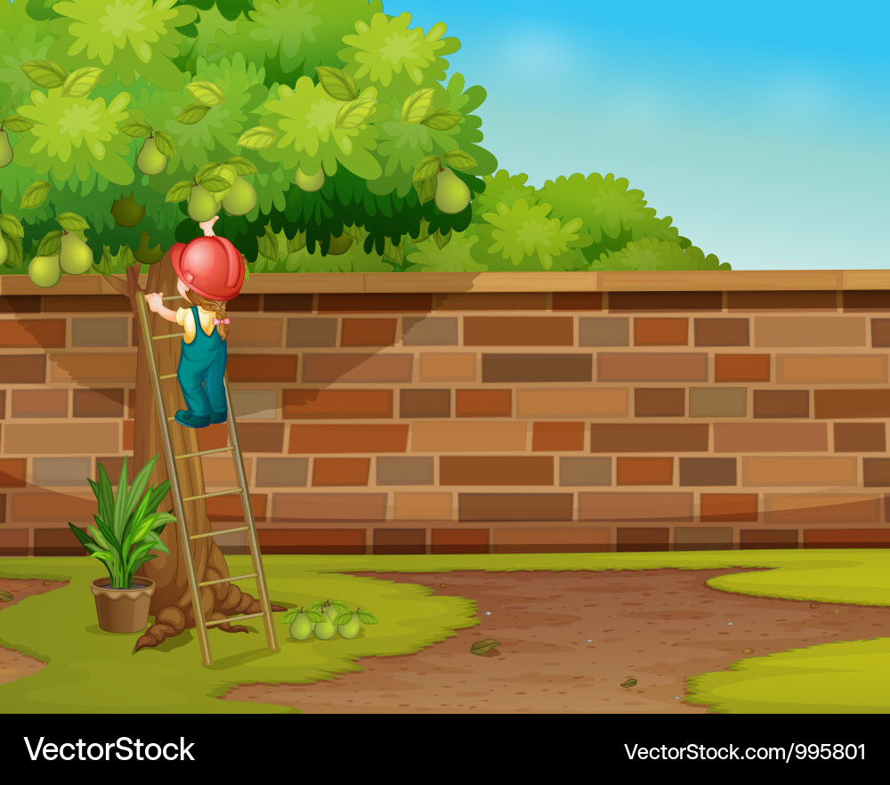 Fruit picker Royalty Free Vector Image - VectorStock