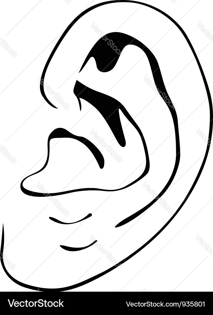 Human ear Royalty Free Vector Image - VectorStock