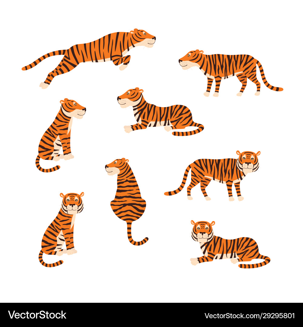 Powerful tiger in different actions set cartoon Vector Image