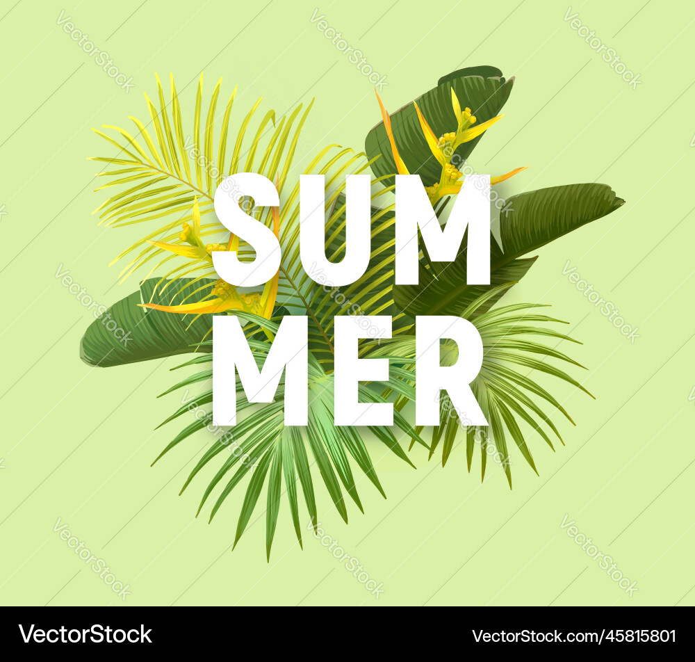 Summer tropical design for banner or flyer Vector Image