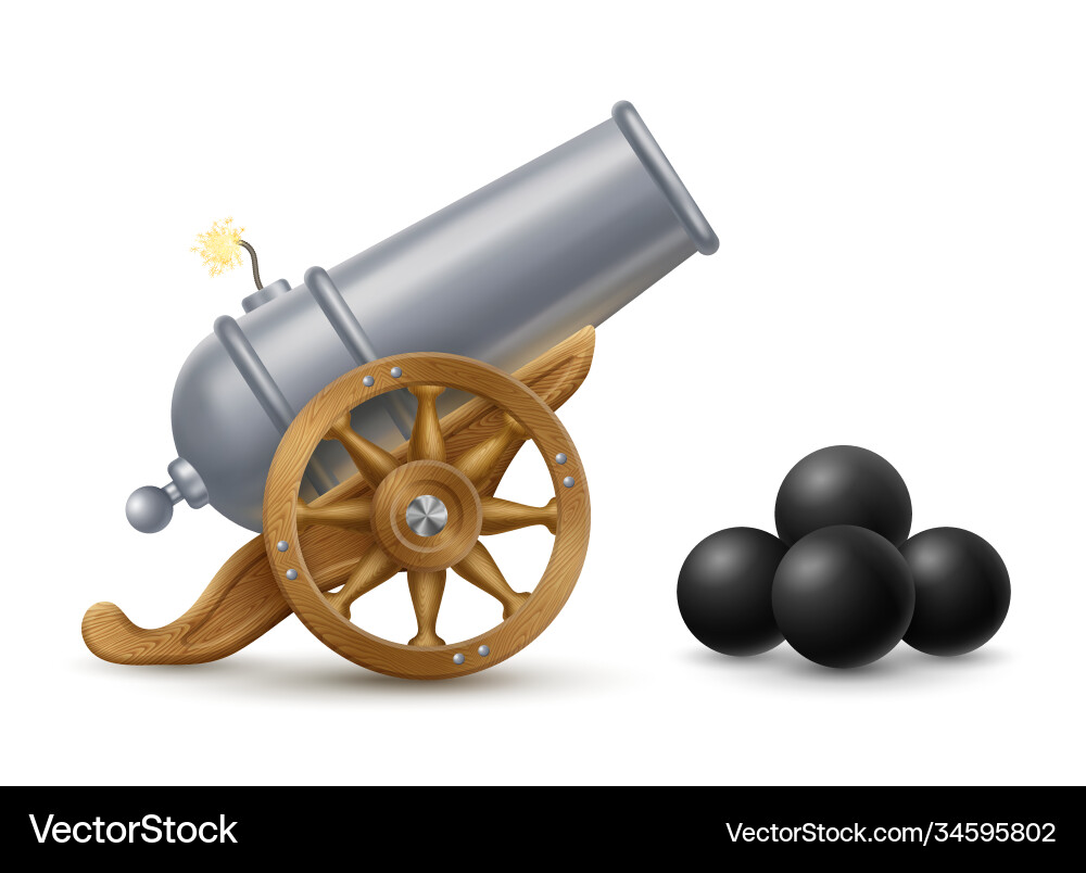Canon Royalty Free Vector Image - VectorStock
